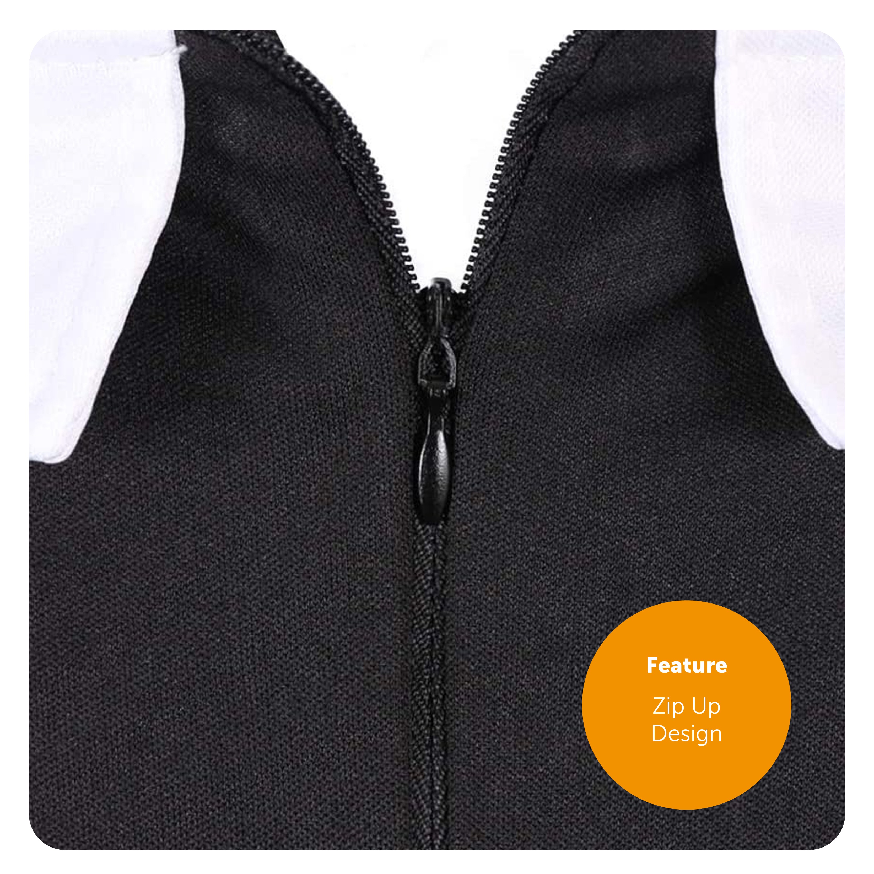 Girls Morrigan Costume | 3 Pcs | Dress, Wig & Crow - I Love Fancy Dress